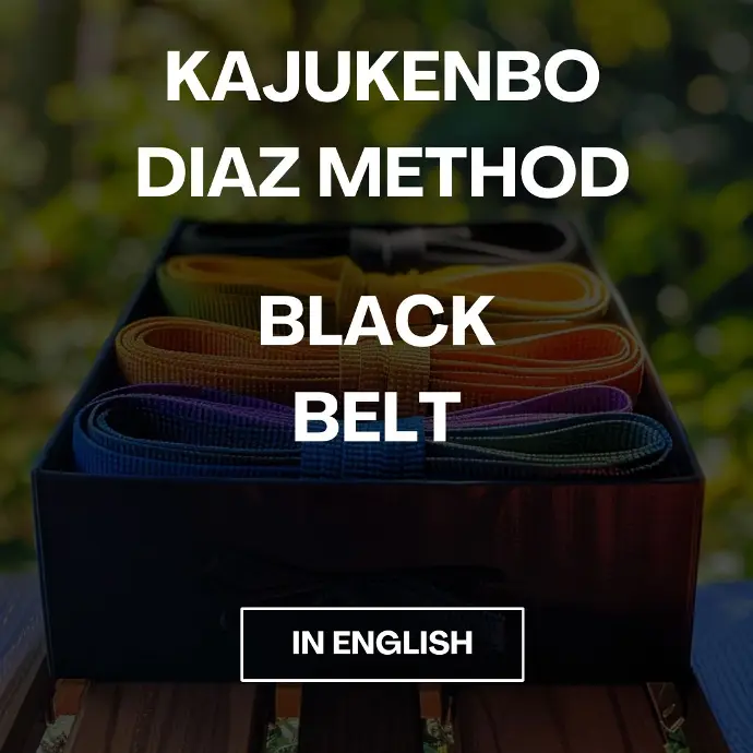 KajuKenBo Course - Black Belt | Kajukenbo KSDI France
